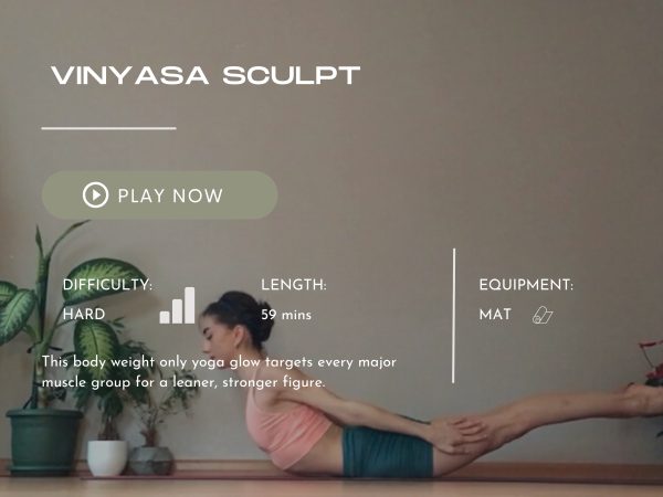 The Balanced Ballerina Method – Full Body Transformation For Dancers ...