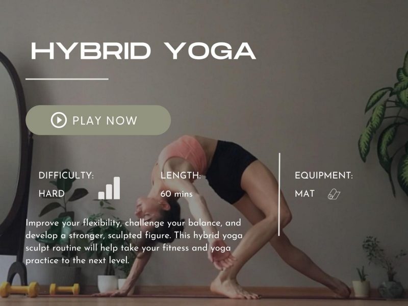 The Balanced Ballerina Method – Full Body Transformation For Dancers ...