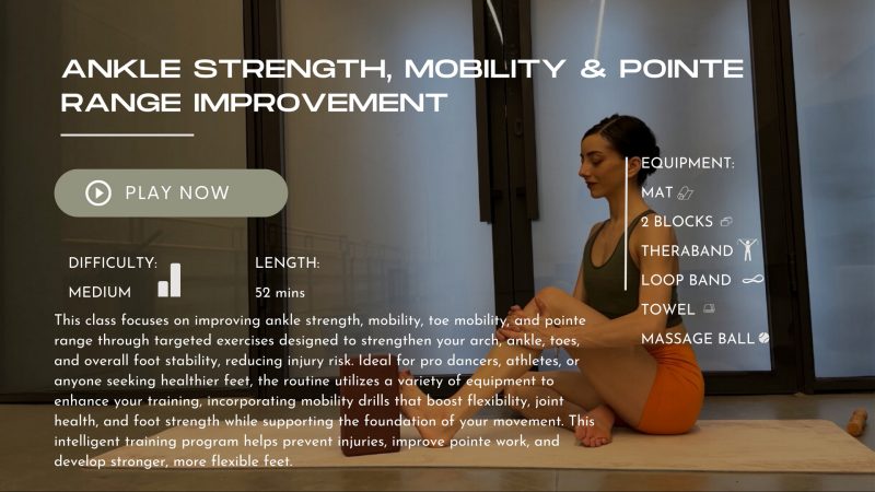 Members only videos – Bodhicore