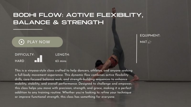 Members only videos – Bodhicore