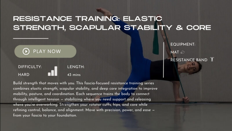 Members only videos – Bodhicore