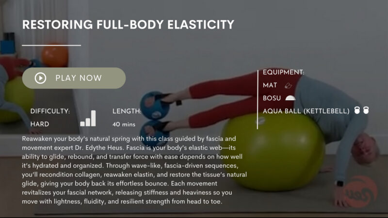 Members only videos – Bodhicore